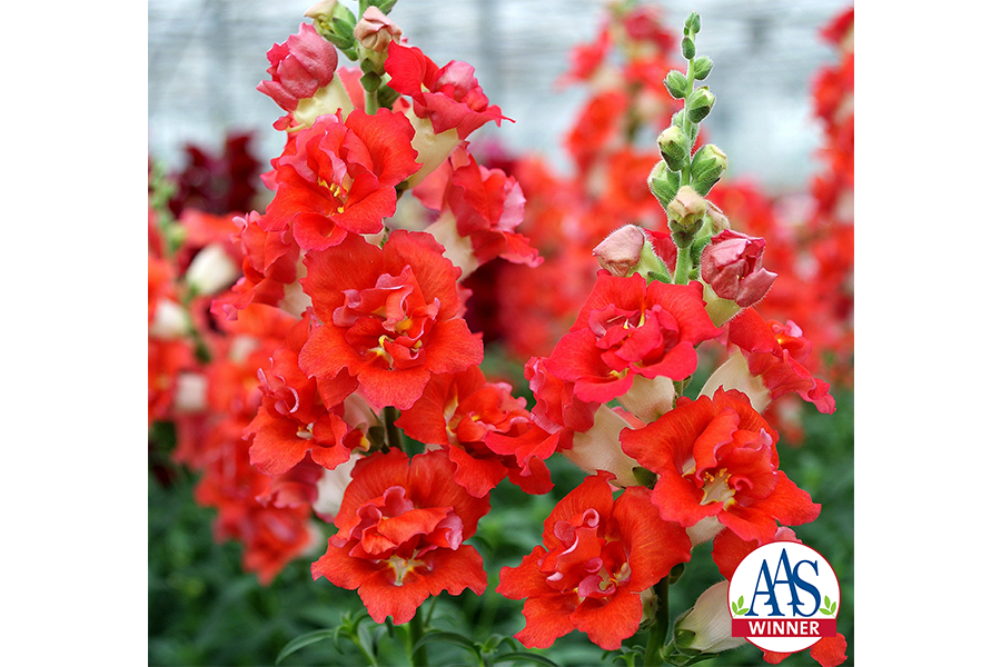 Hem Genetics B.V. | Part of Hem Group