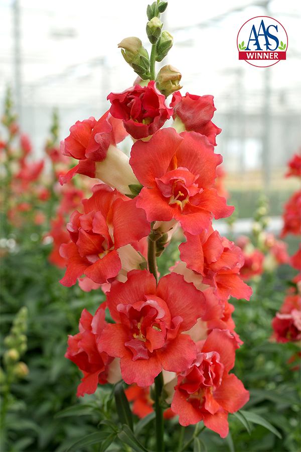 Hem Genetics B.V. | Part of Hem Group